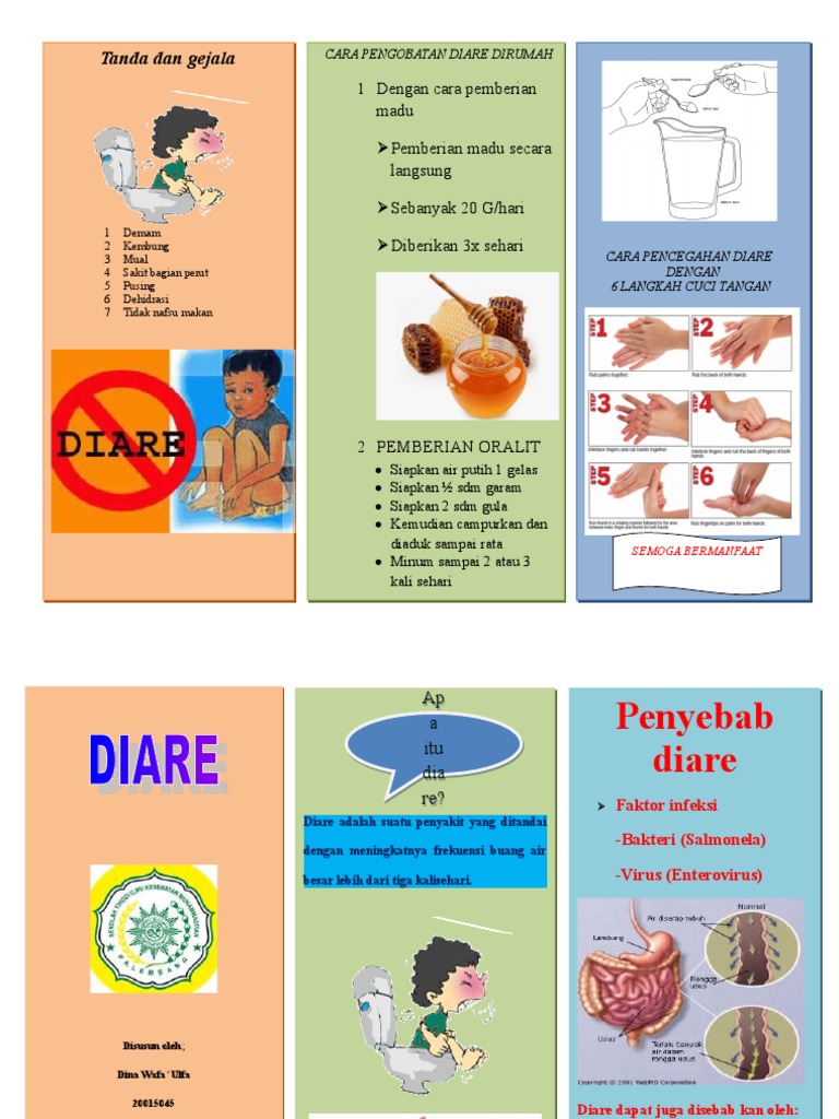 Leaflet Diare | PDF