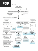 Patofisiologi Batu Ren Pathway | PDF