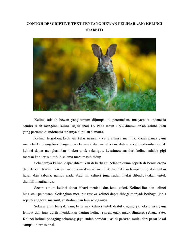 Contoh Descriptive Text Tentang Hewan Peliharaan | PDF