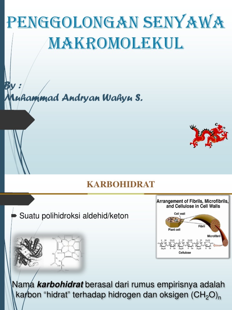 Pengantar Makromolekul | PDF
