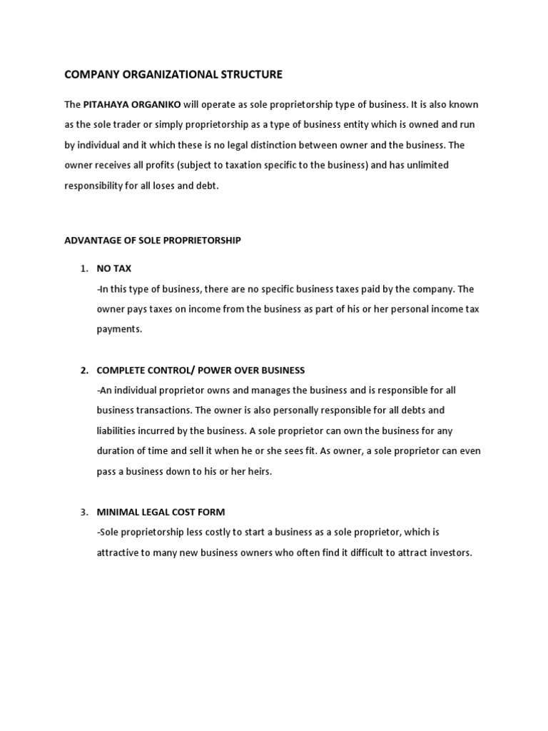 Company Organizational Structure: Advantage of Sole Proprietorship ...