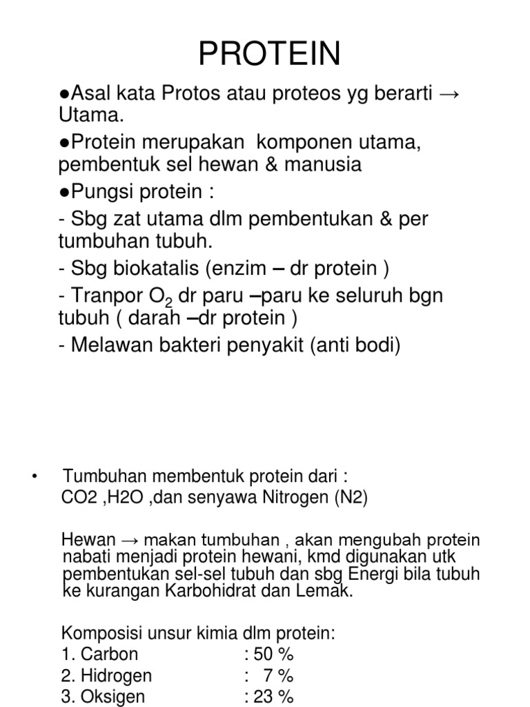 Protein: Bahan Penting Tubuh dan Metabolisme Asam Amino | PDF