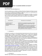 Proyecto de Germinación para Niños | PDF | Plantas | Semilla