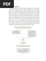 Laporan Indera Peraba | PDF