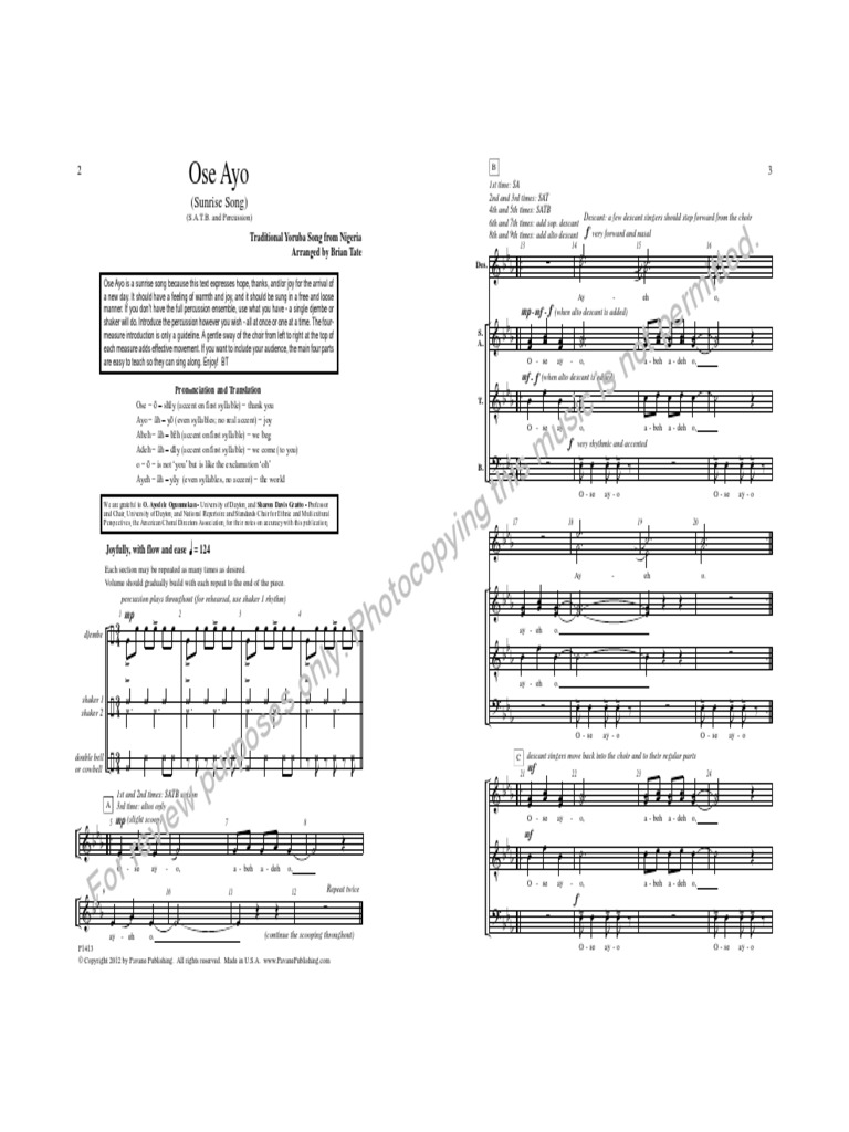 Ose Ayo | PDF | Warfare Of The Industrial Era | Military Operations