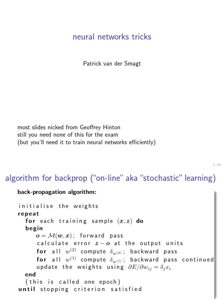 Neural Networks Tricks: Patrick Van Der Smagt | PDF | Mathematical Optimization | Artificial ...