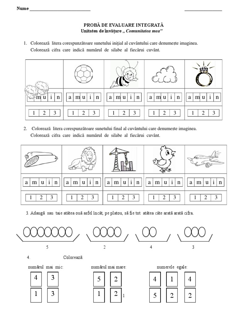 Evaluare Sumativa Interpretare | PDF