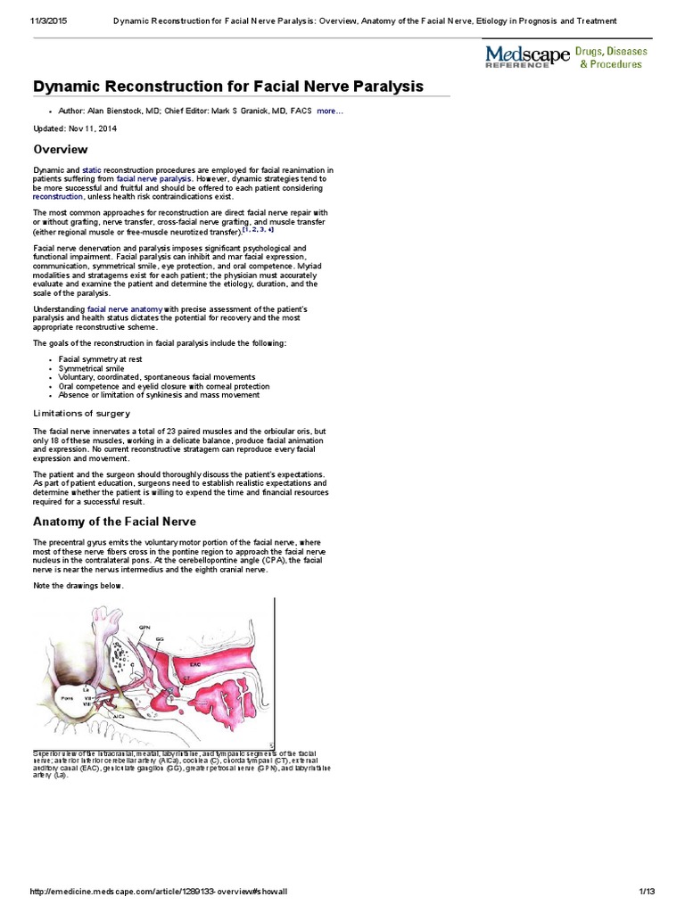 Dynamic Reconstruction For Facial Nerve Paralysis: More.. | PDF ...