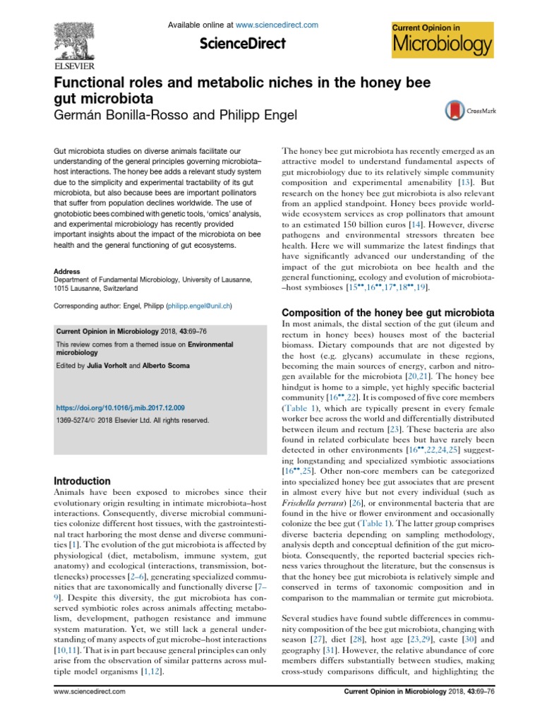 Honey Bee Gut Microbiota | PDF | Gut Flora | Microbiota