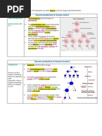 Cell City Worksheet Answer Key | PDF | Cell (Biology) | Cytoplasm