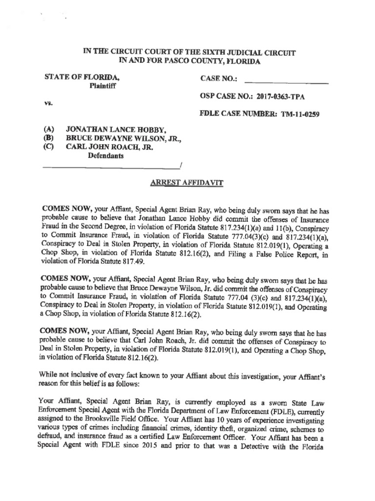 Hobby Jonathan Arrest Affidavit | PDF