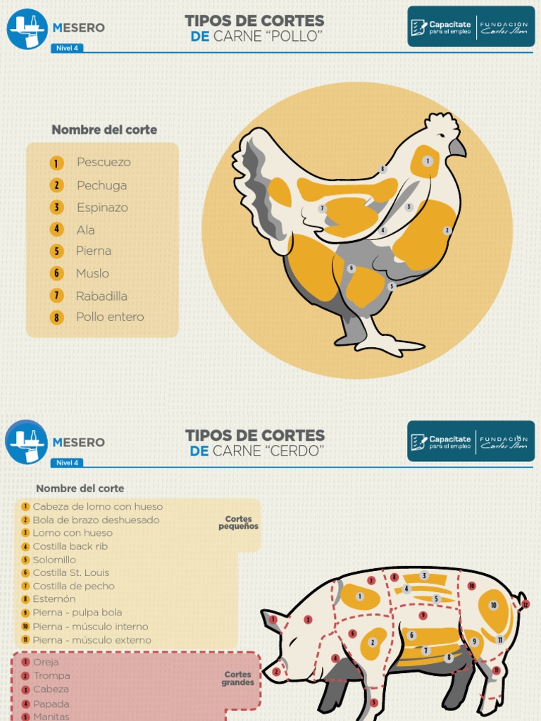 Cortes Pollo Cerdo Res | filete | Libros de cocina, comidas y vinos