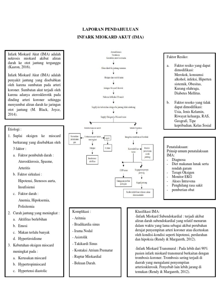 LP Mapping IMA | PDF