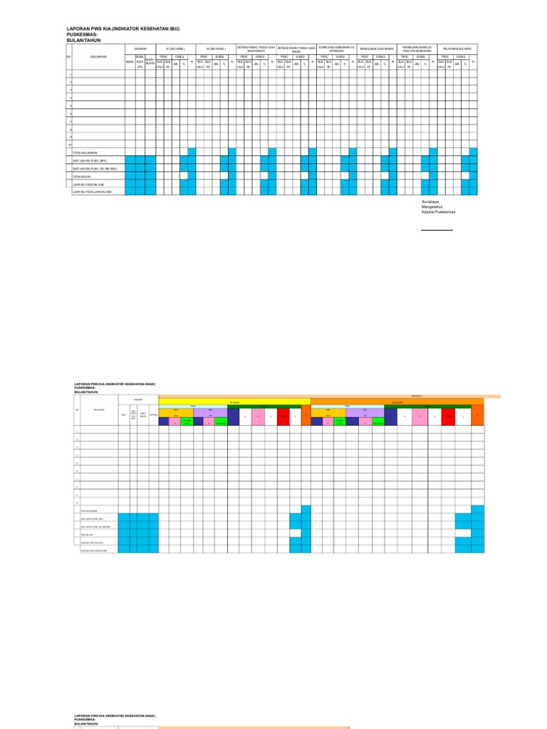 Maternal and Child Health Indicators Report | PDF