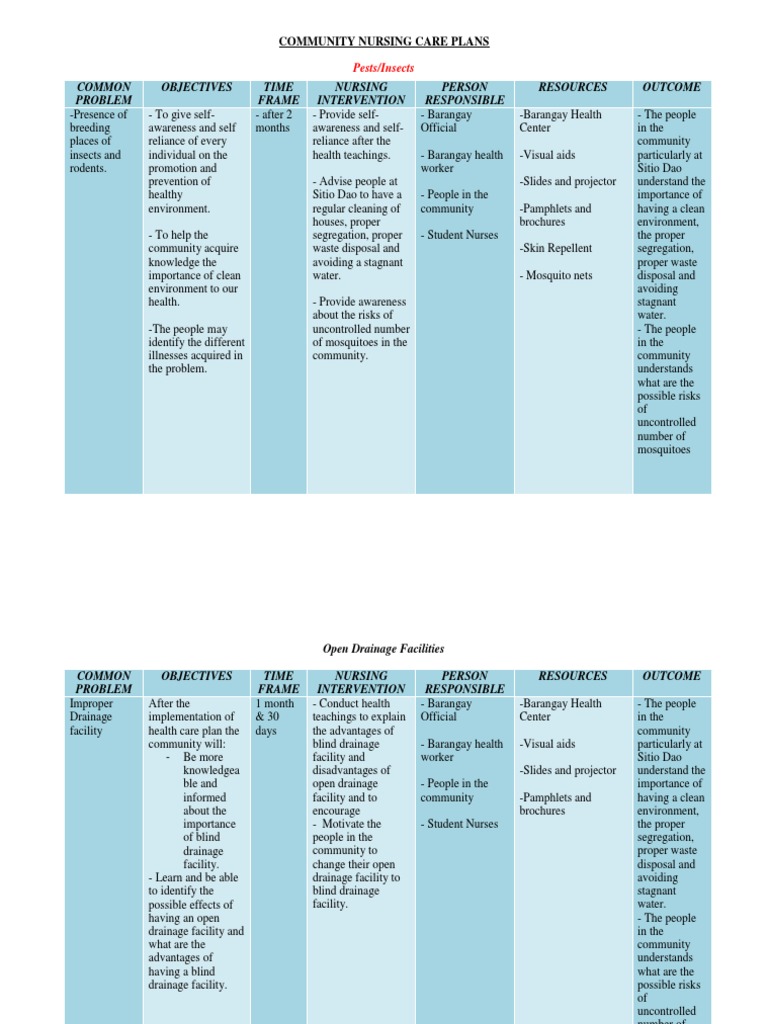 Community Nursing Care Plans for Health | PDF | Nursing | Health Care