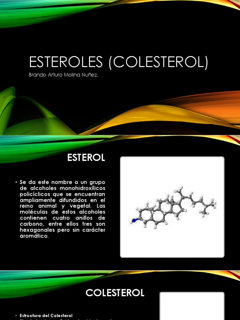 Esteroles (Colesterol) | PDF | Lipoproteínas de baja densidad | Colesterol