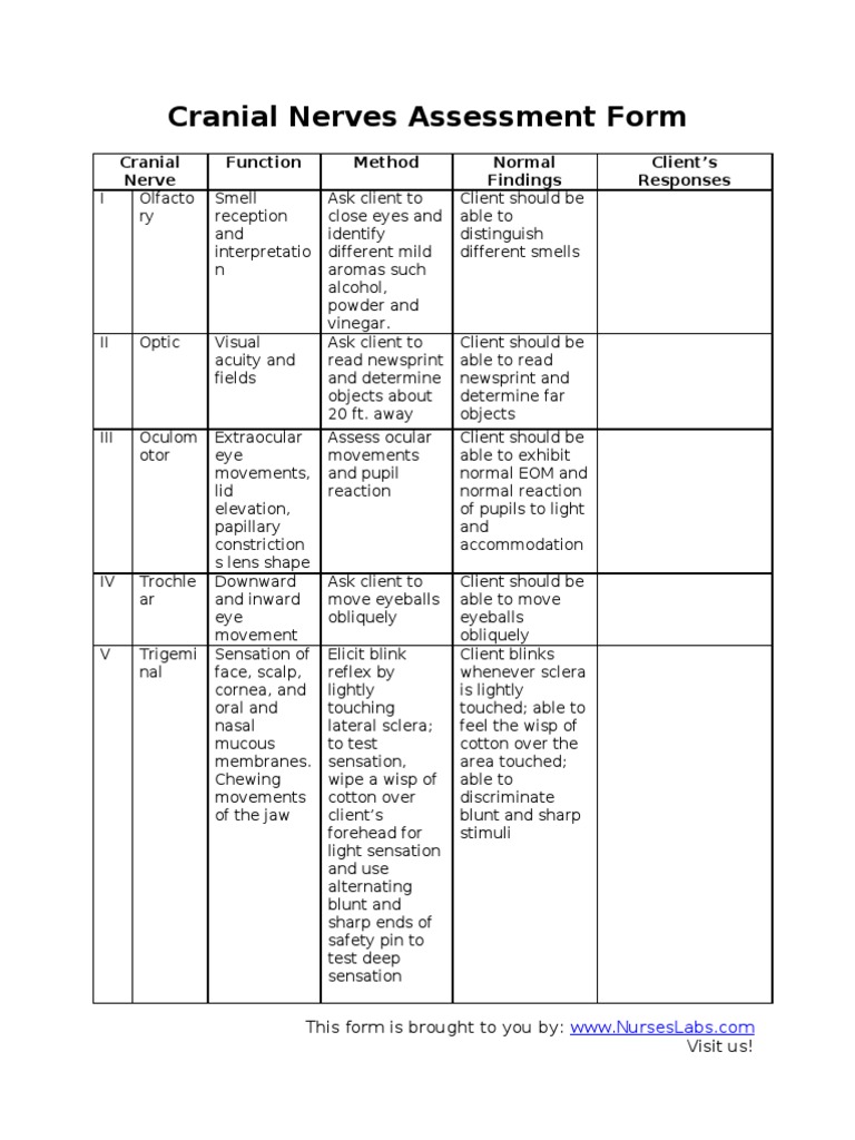 Cranial Nerves Assessment