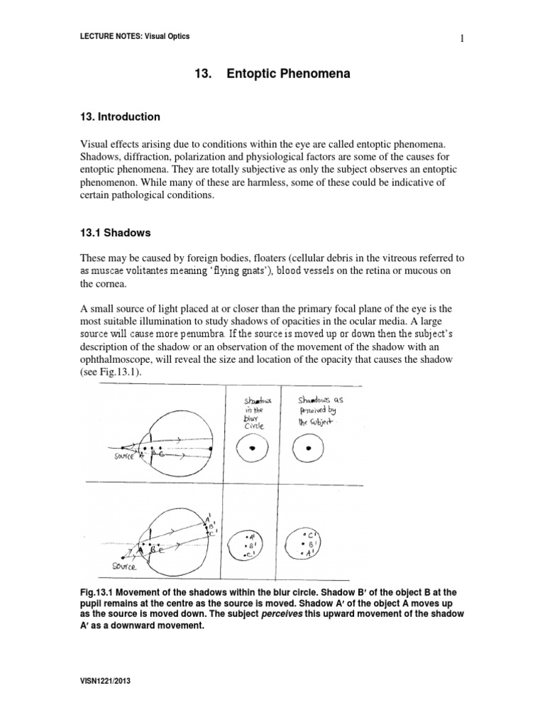Topic 13 - Entoptic Phenomena | Human Eye | Retina