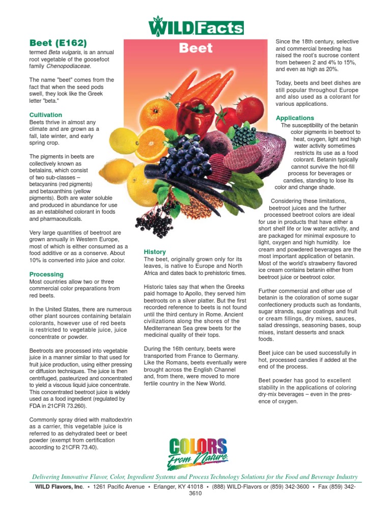 Beetroot: Uses, History, and Processing | PDF | Beetroot | Juice