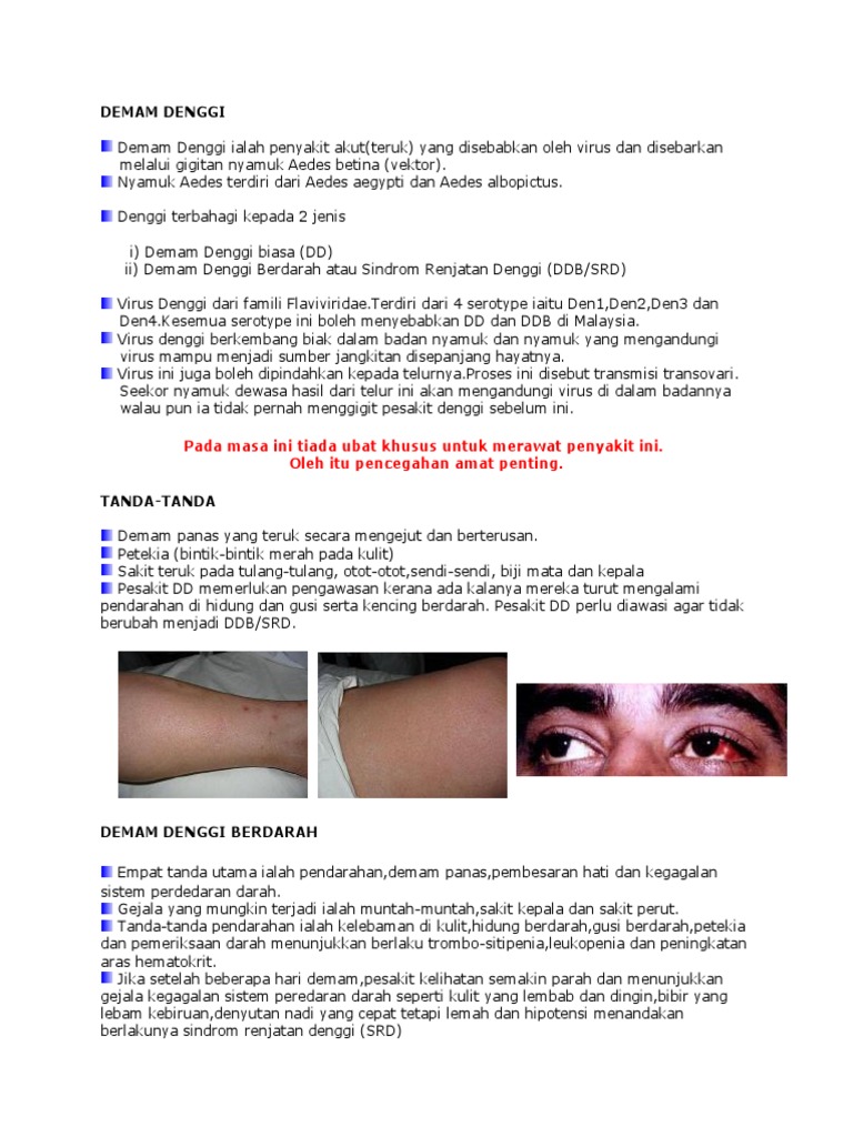 Demam Denggi | PDF