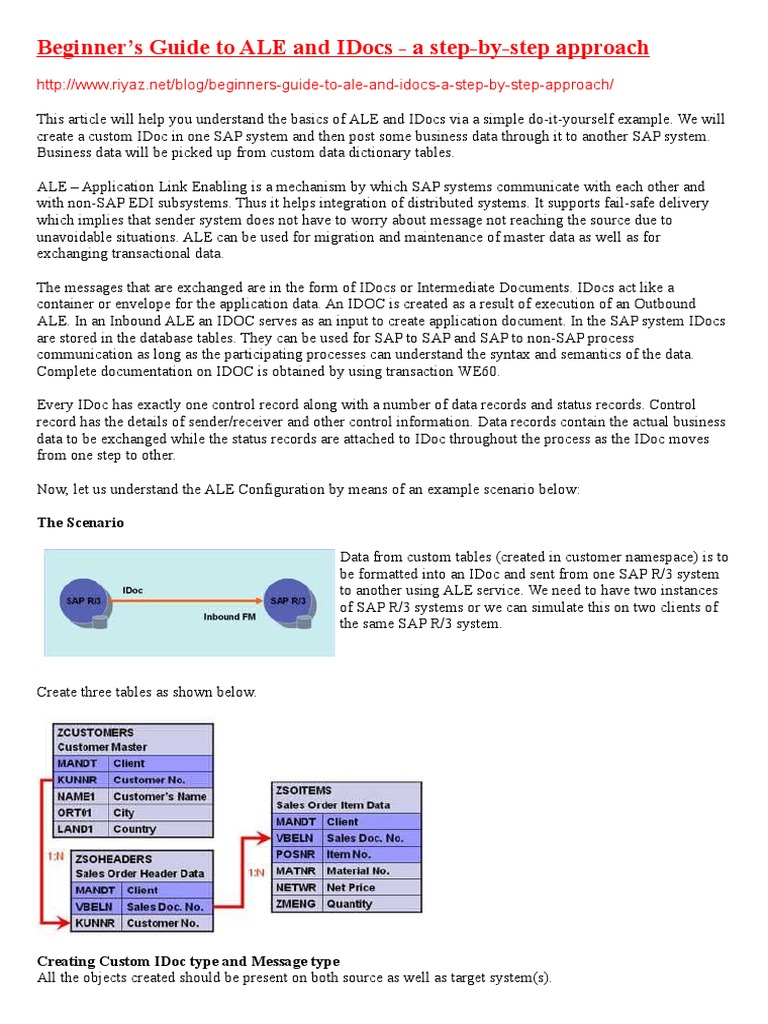Guide To ALE and IDocs | PDF | Port (Computer Networking) | Electronic Data Interchange