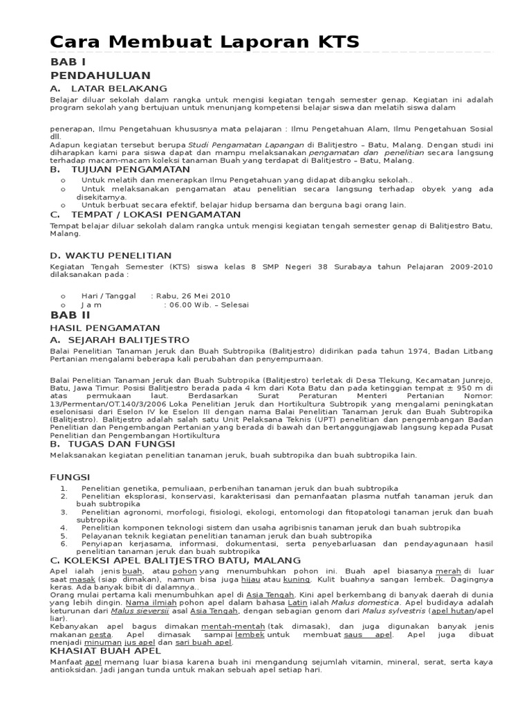 Cara Membuat Laporan KTS | PDF