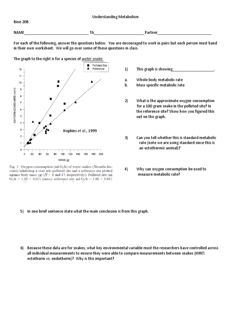 1 - Metabolism Worksheet PDF | PDF | Science | Physiology