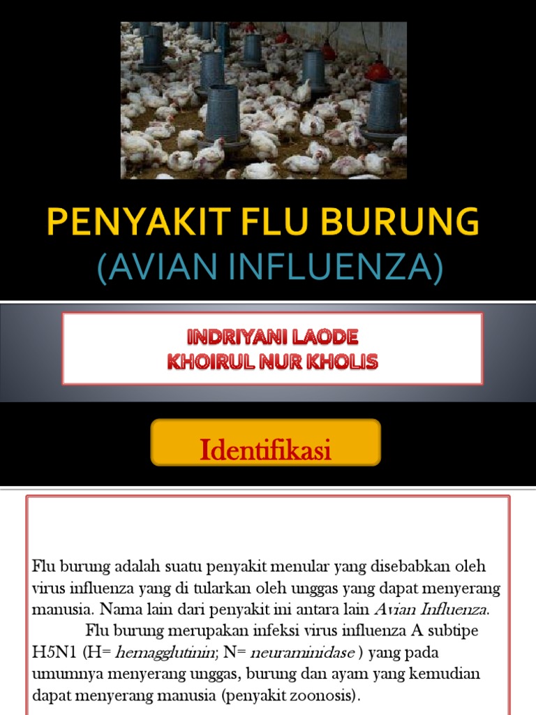 Penyakit Flu Burung | PDF
