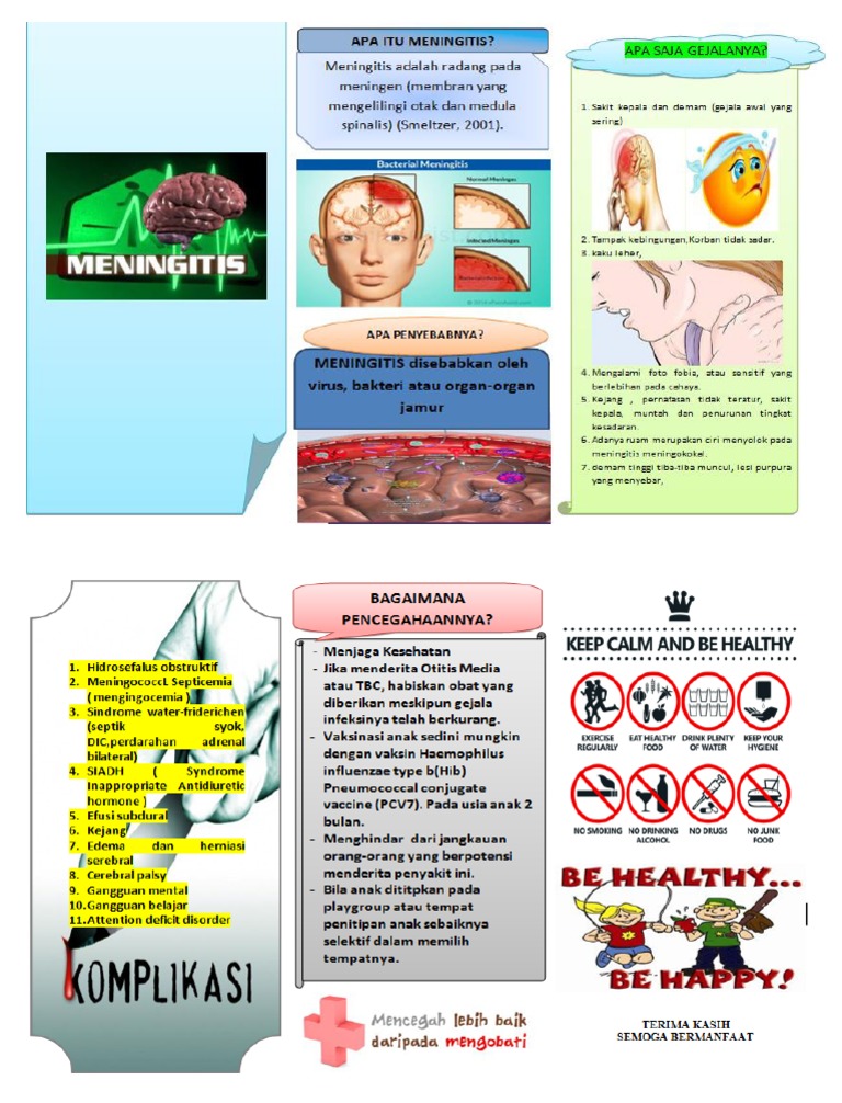 Leaflet Tentang Meningitis | PDF