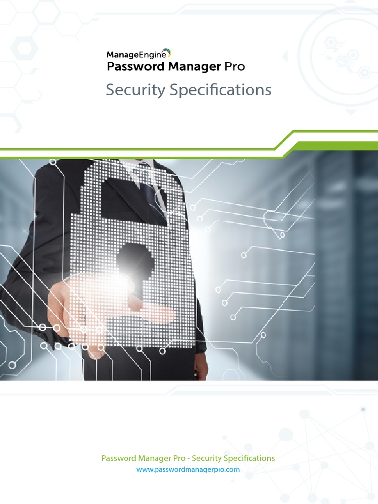 PMP Security Specifications | PDF | Password | Web Application