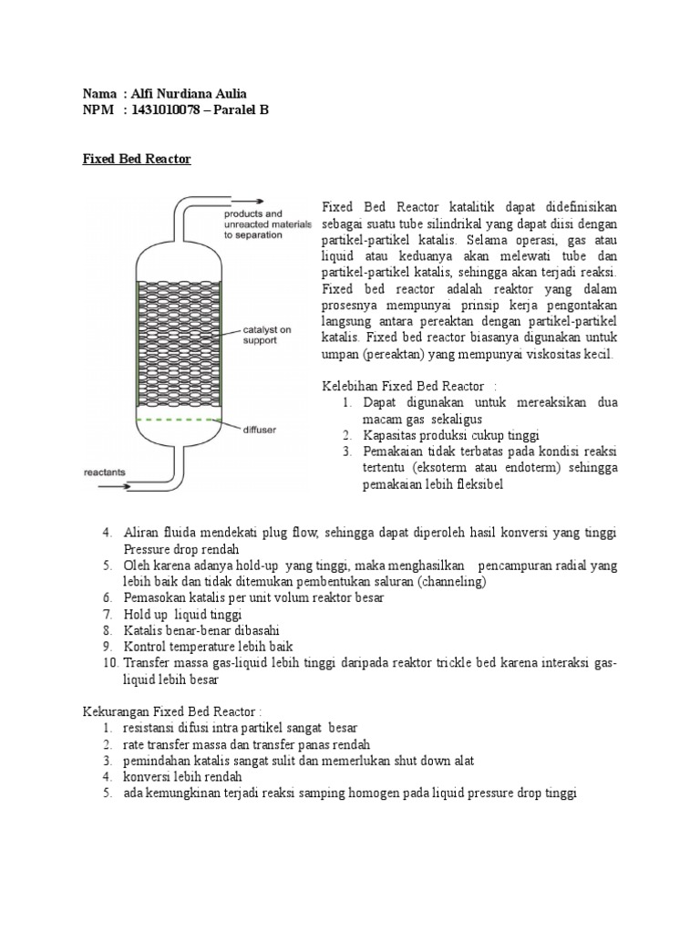 Reaktor Kimia: Fixed vs Fluidized | PDF