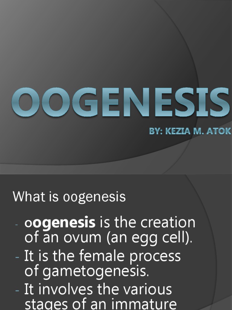 01 Oogenesis | PDF | Meiosis | Biological Processes