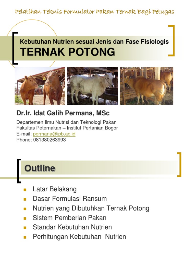 Kebutuhan Nutrisi Sapi Potong | PDF