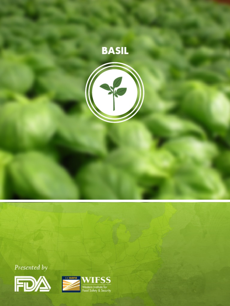 Basil_PDF | Basil | Plants