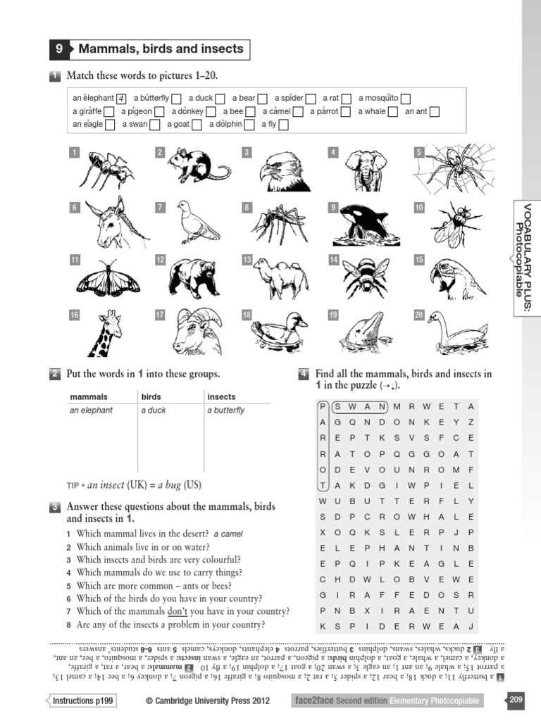 9 Mammals Birds and Insects | PDF | Mammals | Zoology