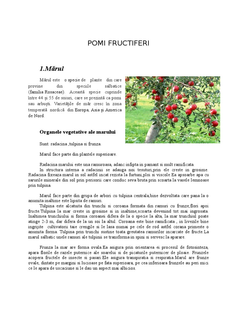 Pomi Fructiferi | PDF