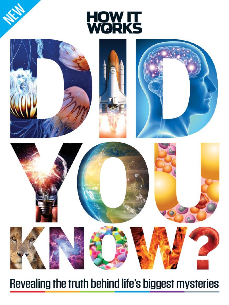 How It Works - Book of Did You Know 3rd Edition | PDF | Bone | Osteoblast