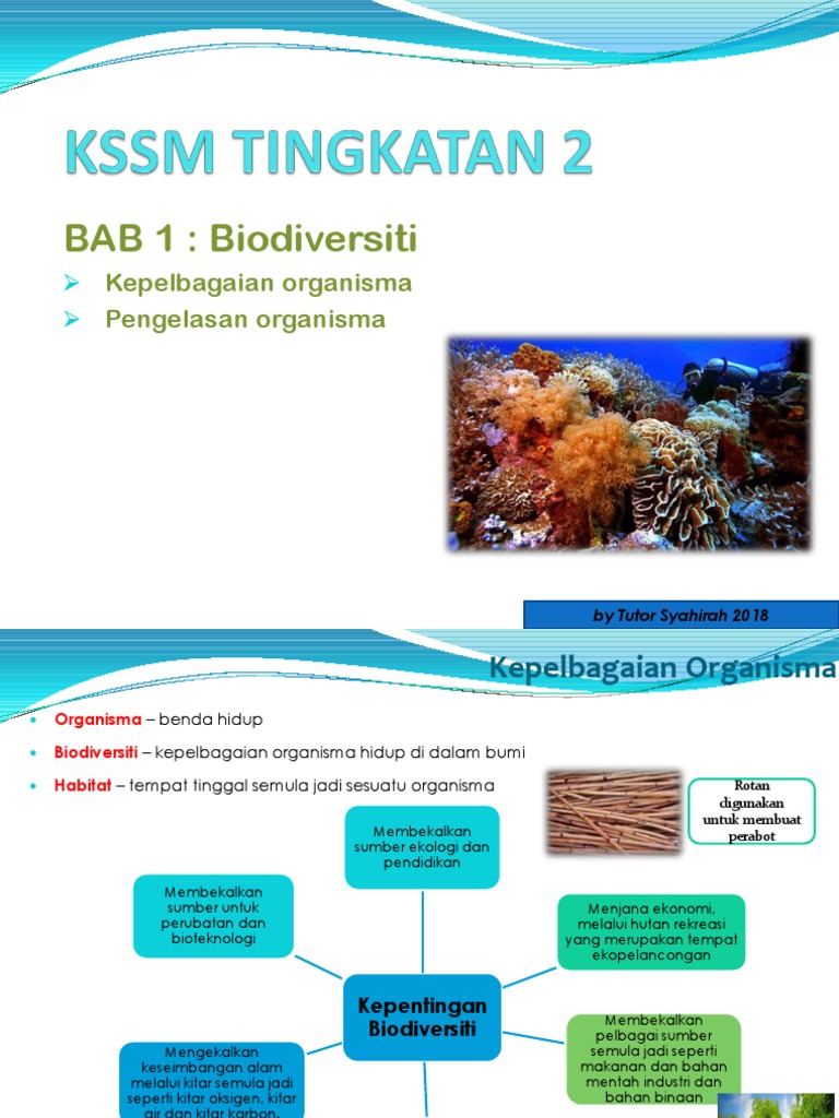 Kssm Tingkatan 2 Bab 1 Biodiversiti Pdf