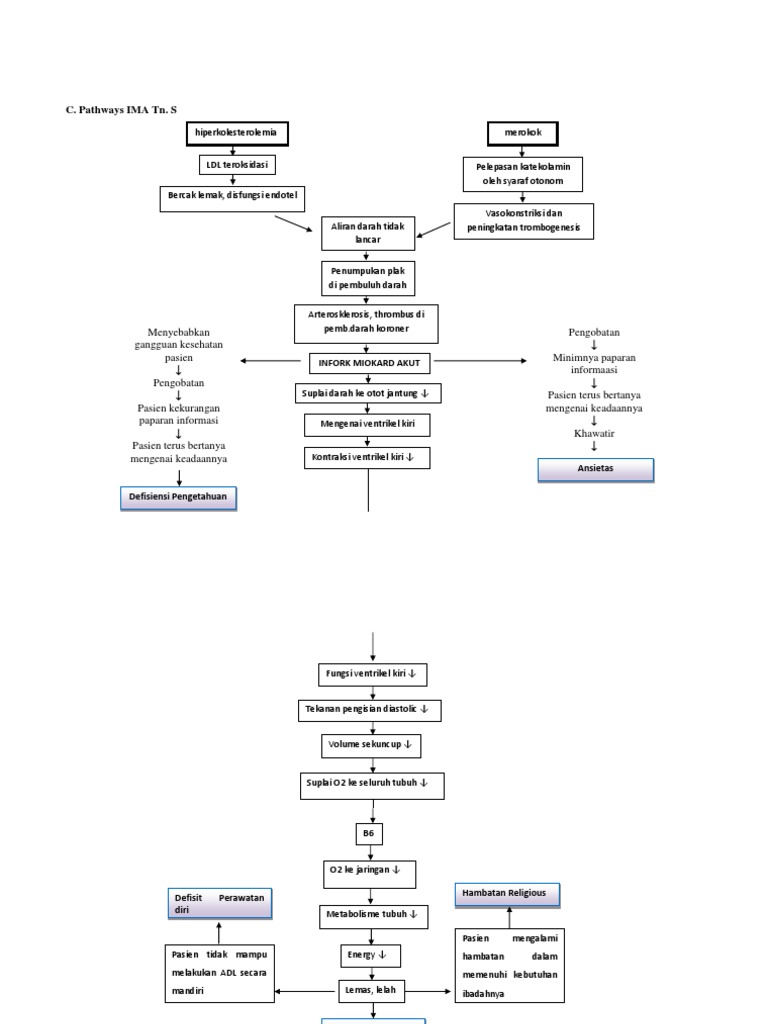 Pathways IMA Tn. S | PDF