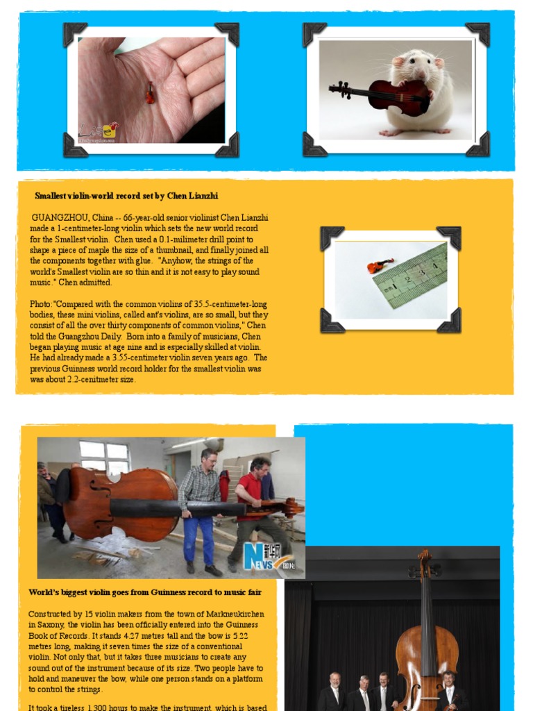 Fun Facts For The Violin PDF | PDF | Violin | String Instruments