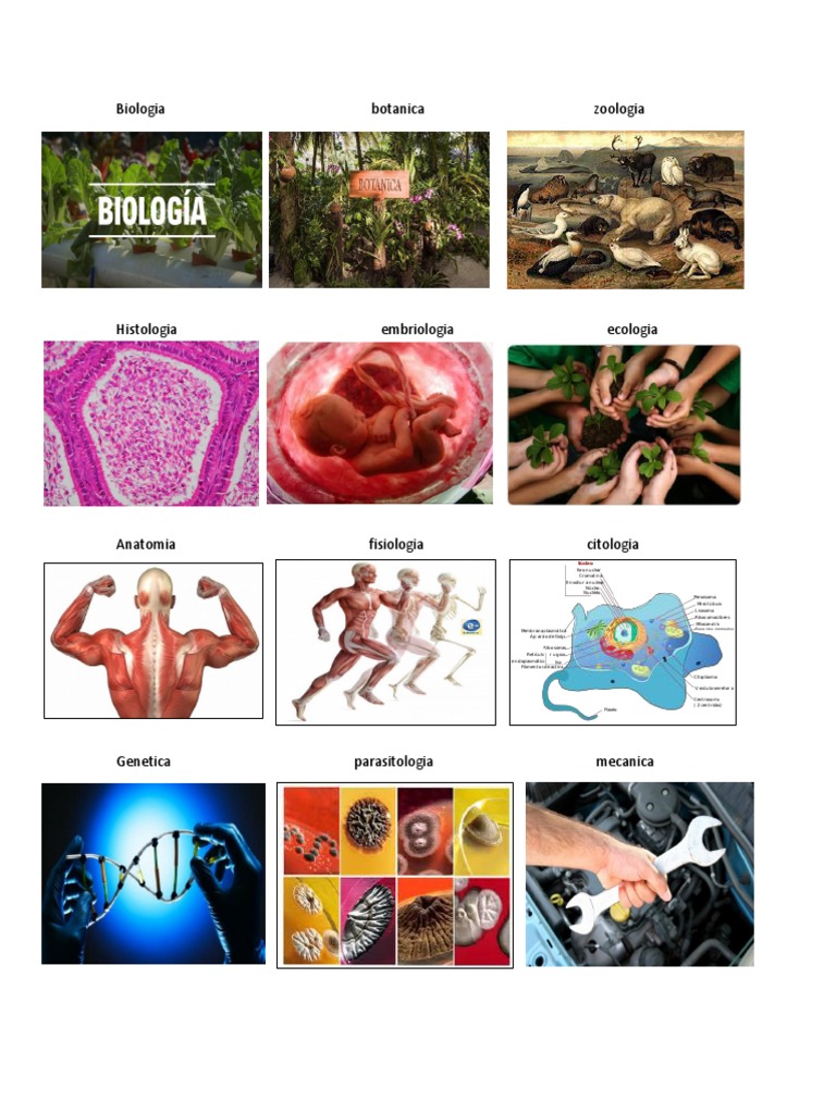 Biologia Botanica Zoologia | PDF | latín | Comunicación humana