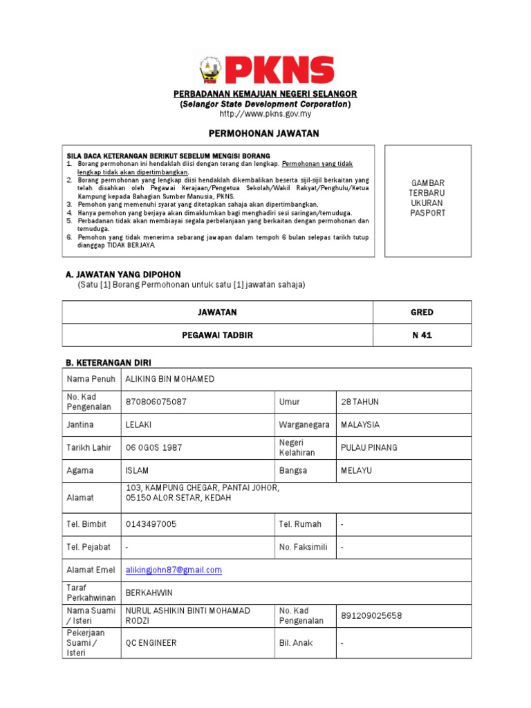 Borang Permohonan Jawatan Pindaan 1 PKNS | PDF
