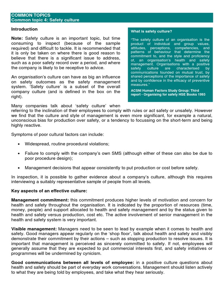 Common Topics Common Topic 4: Safety Culture | PDF | Safety ...