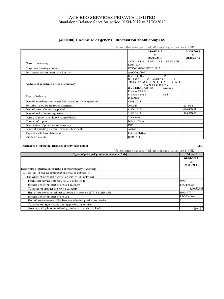 Balance Sheet - FY 2012-13 | PDF | Going Concern | Audit