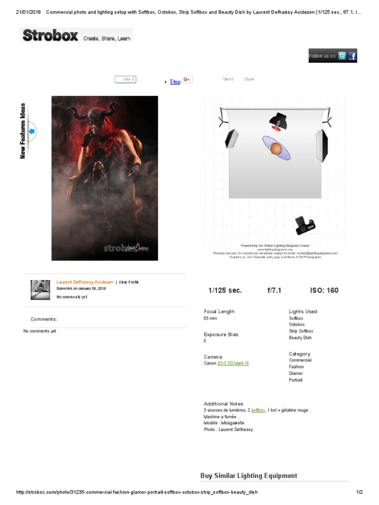 Softbox, Octobox, Strip Softbox and Beauty Dish | PDF | Vision ...