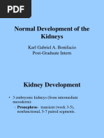 Geographically Isolated and Disadvantaged Areas | PDF | Social Science