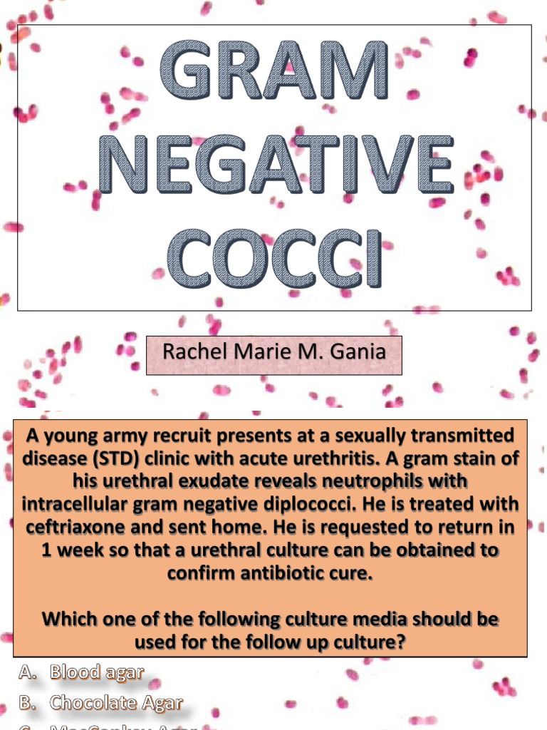 Gram Negative Cocci | Meningitis | Prokaryote