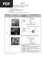 Biophysical Profile Ultrasound Protocol | PDF | Fetus | Uterus