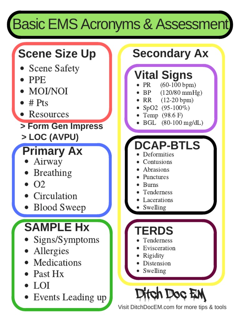 EMS Acronyms and Assessment Guide | PDF
