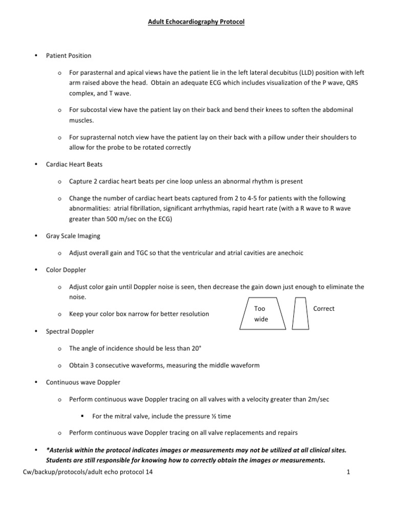 Adult Echocardiography Protocol Guide | PDF | Heart Valve | Ventricle ...